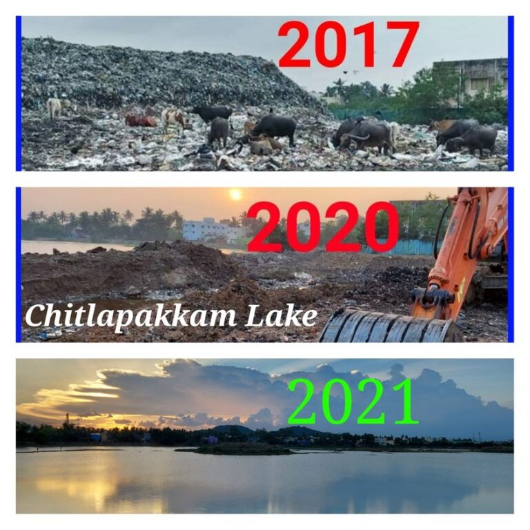 Volunteers join hands to restore Chitlapakkam Lake